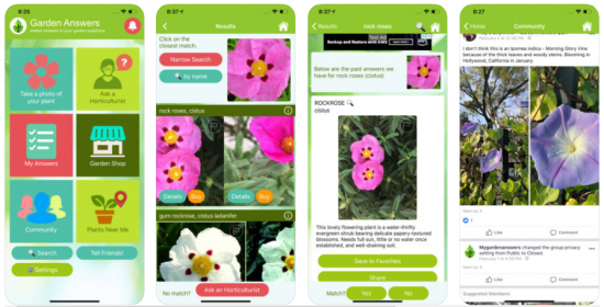 Know the Nature More Closely and Deeply with Plant Identification Apps