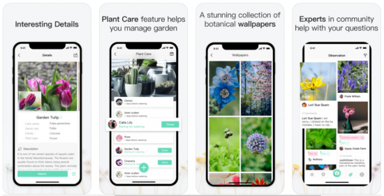 Know the Nature More Closely and Deeply with Plant Identification Apps