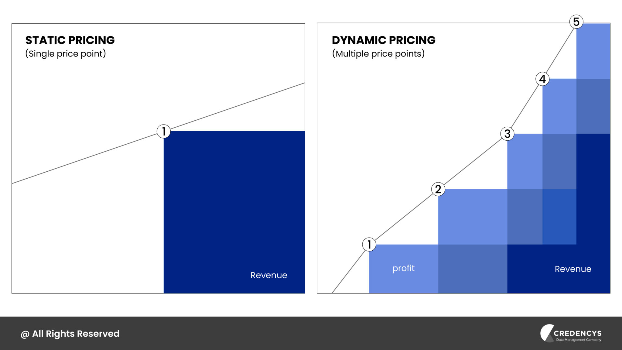 Dynamic Pricing in Retail for Profitability and Competitiveness